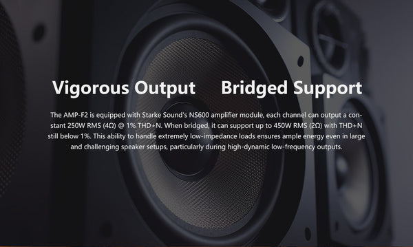 Eversolo AMP-F2 Power Amplifier – Apos