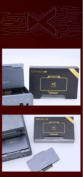 xDuoo AKM AK4499EX DAC Card for XD05 Pro Hard Nucleus Modular DAC/Amp ...